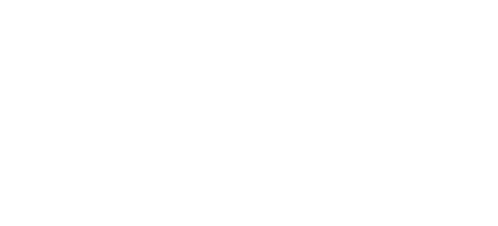 Literacy Partners Literacy Partners